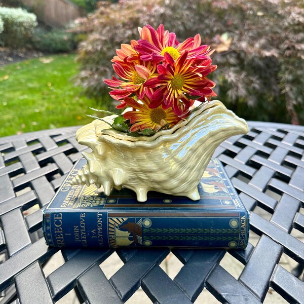 Conch Shell Planter - Etsy