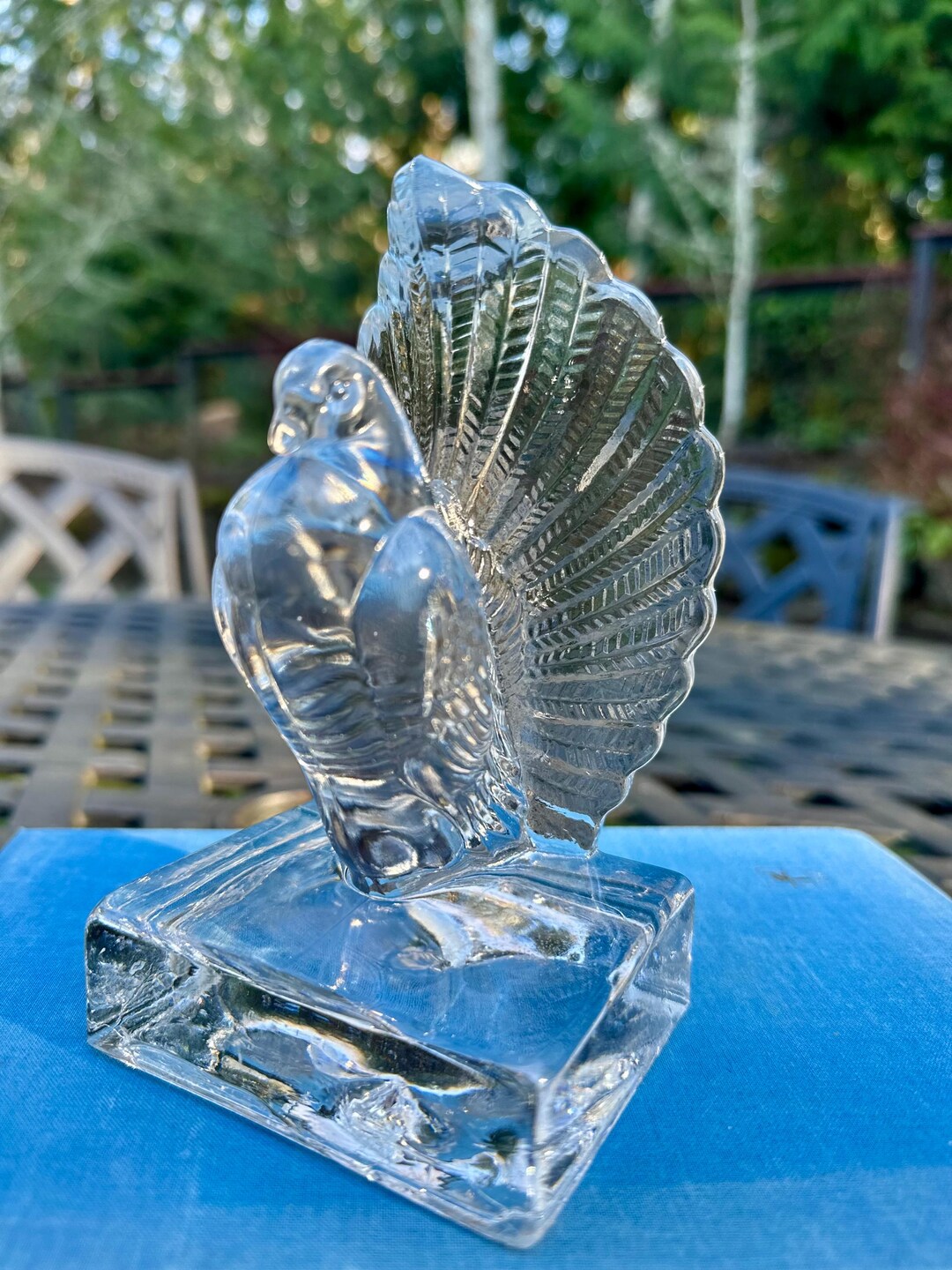 Vintage Indiana Glass Pouter Pigeon Bookend, Heavy Clear Glass Bird - Etsy