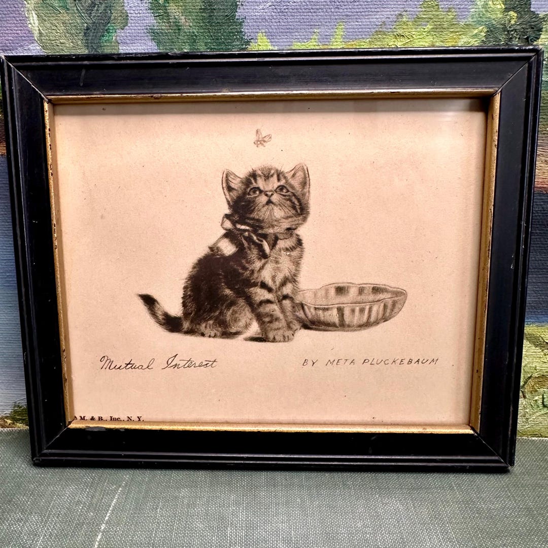 Vintage Meta Pluckebaum Kitten Drypoint Etching, Kitten Lithograph ...