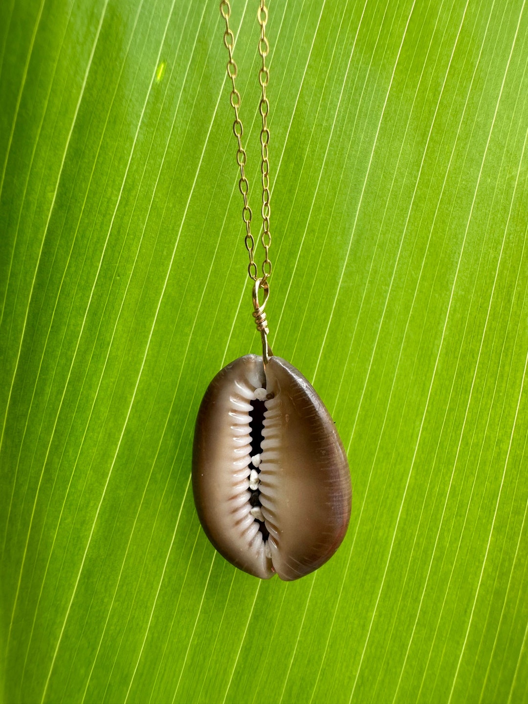 Gold Filled Hawaiian Cowrie Shell Necklace - Etsy