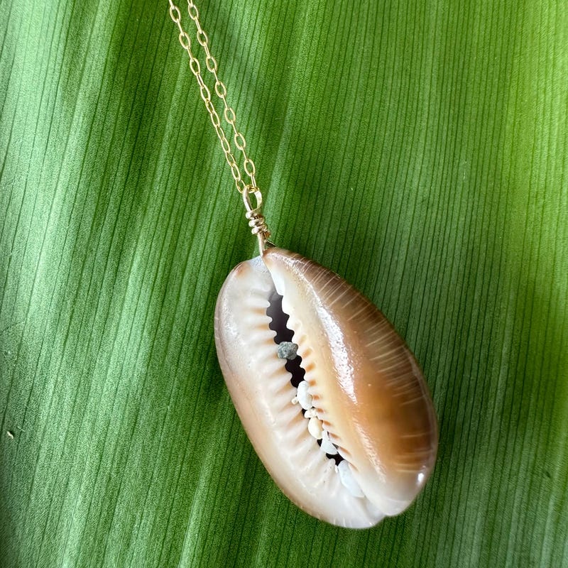 Hawaiian Cowrie - Etsy