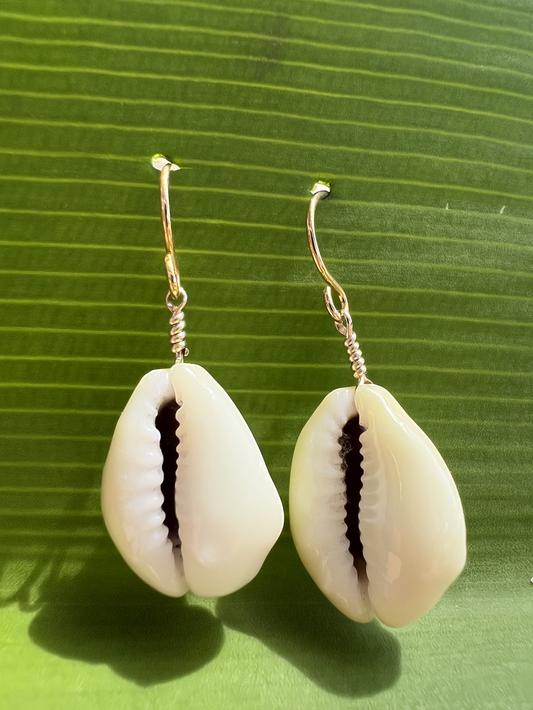 Gold Filled Hawaiian Cowrie Shell Earrings - Etsy