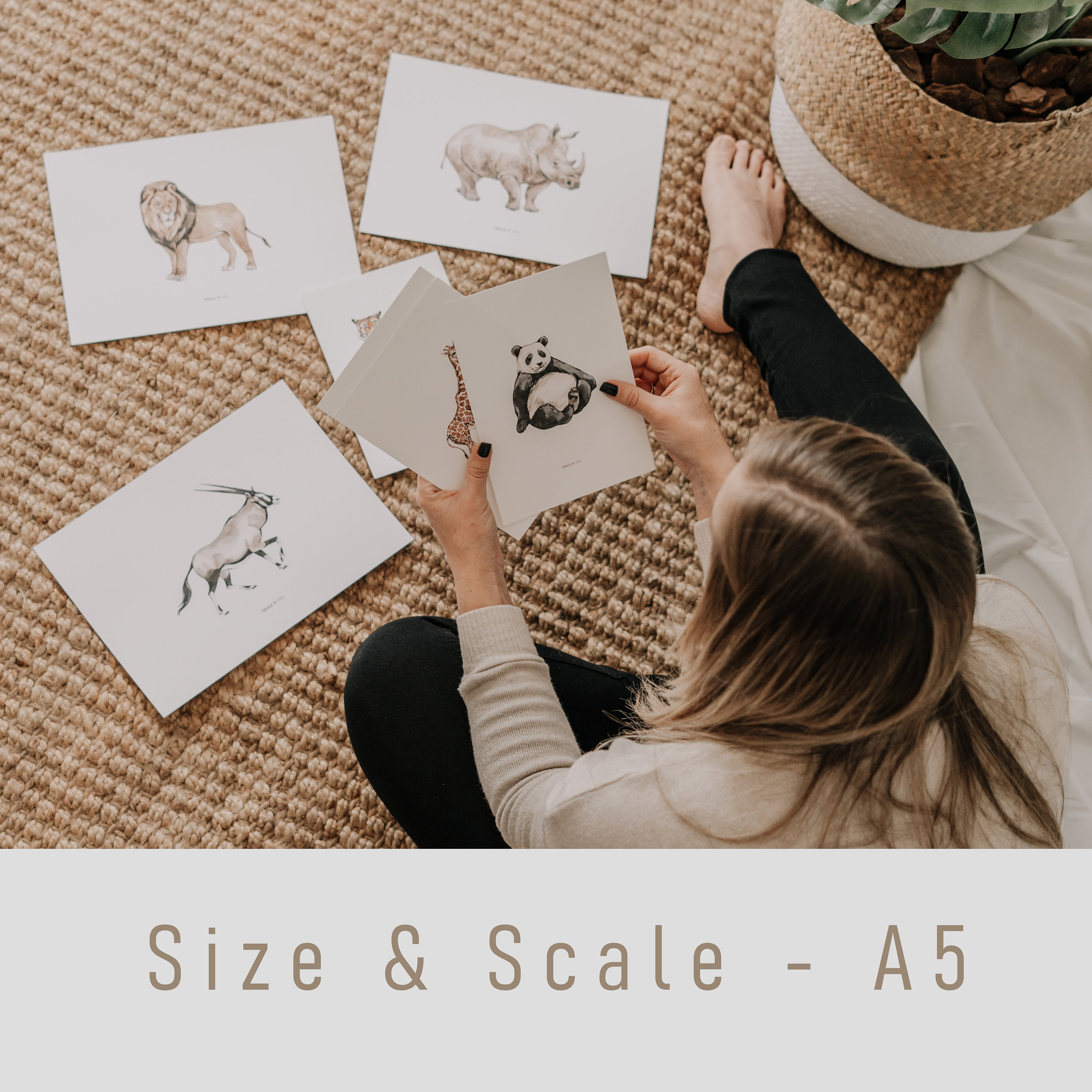 Alfabet Diere Digitale Plakkaat Afrikaans, A-Z Diere Plakkaat, ABC ...