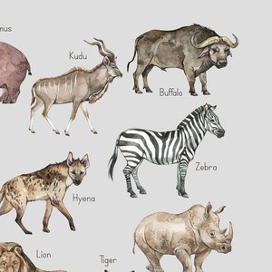 Digital Animal Life Watercolour Poster, Different Wild Animals, Bedroom ...