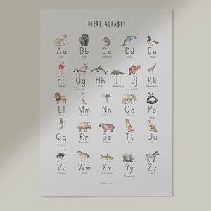 Alfabet Diere Digitale Plakkaat Afrikaans, A-Z Diere Plakkaat, ABC ...