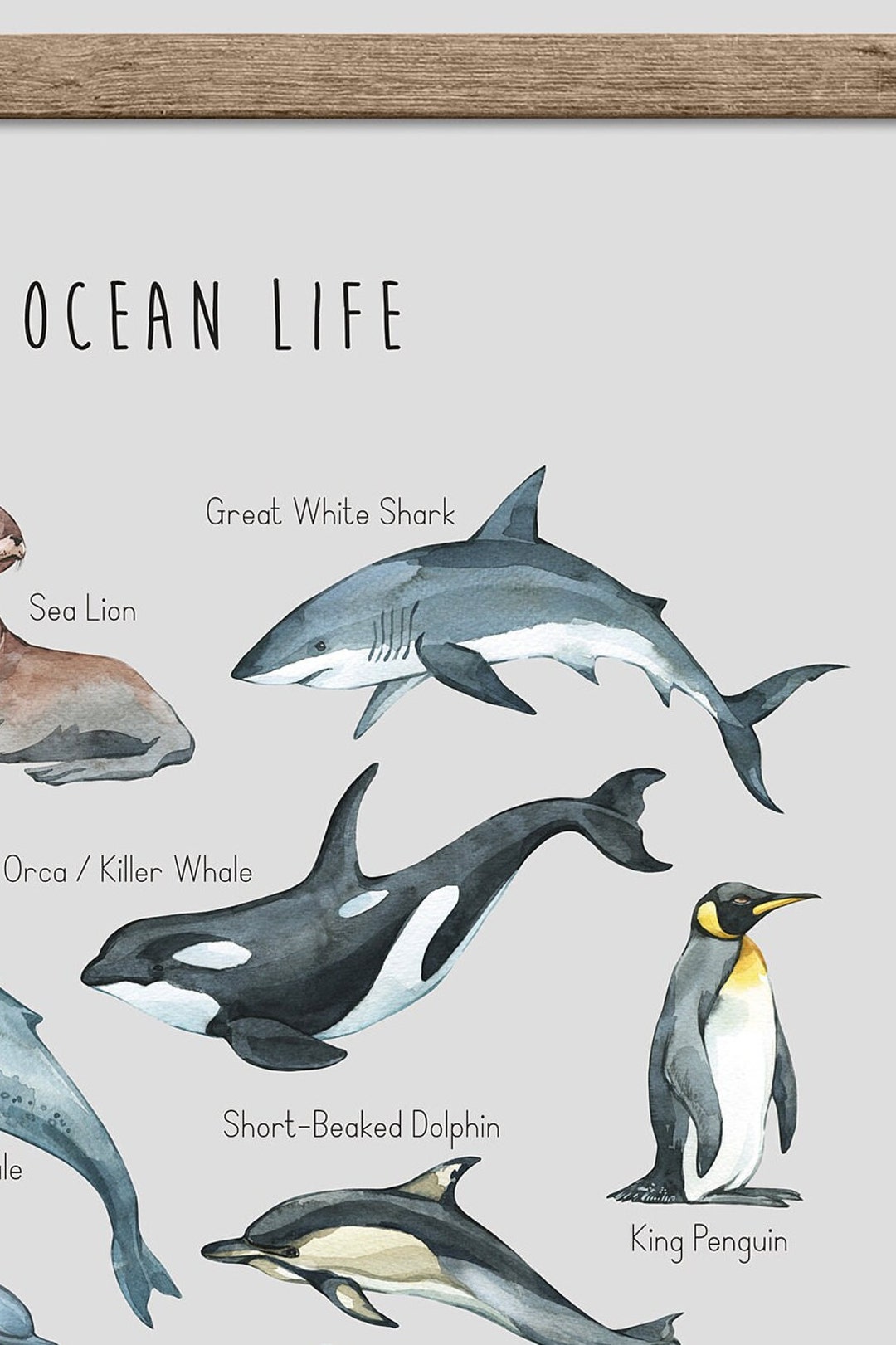 Digital Ocean Life Watercolour Poster, Different Ocean Animals, Bedroom ...