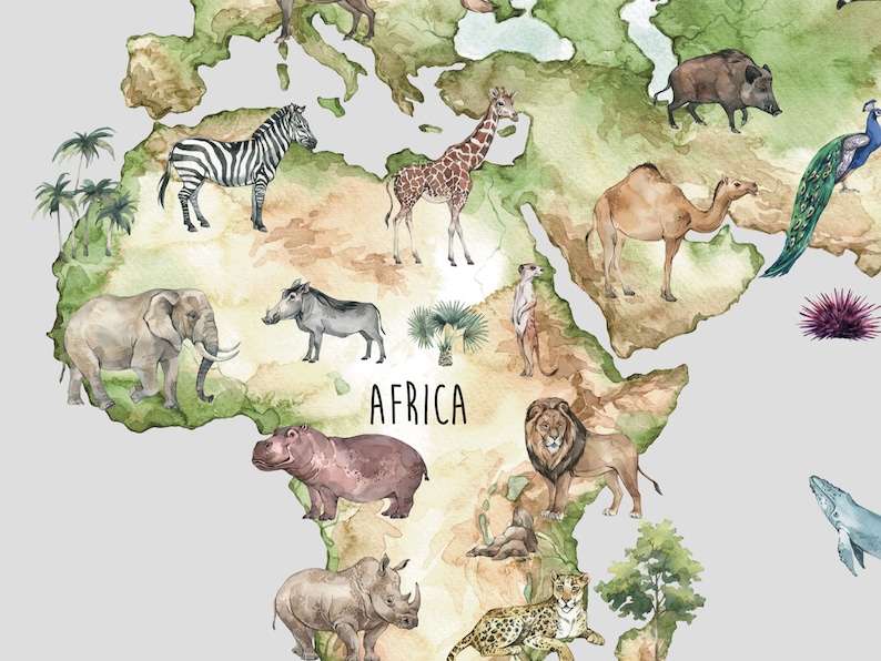 World Map Animals Poster: Educational Wall Decor (digital Download) - Etsy