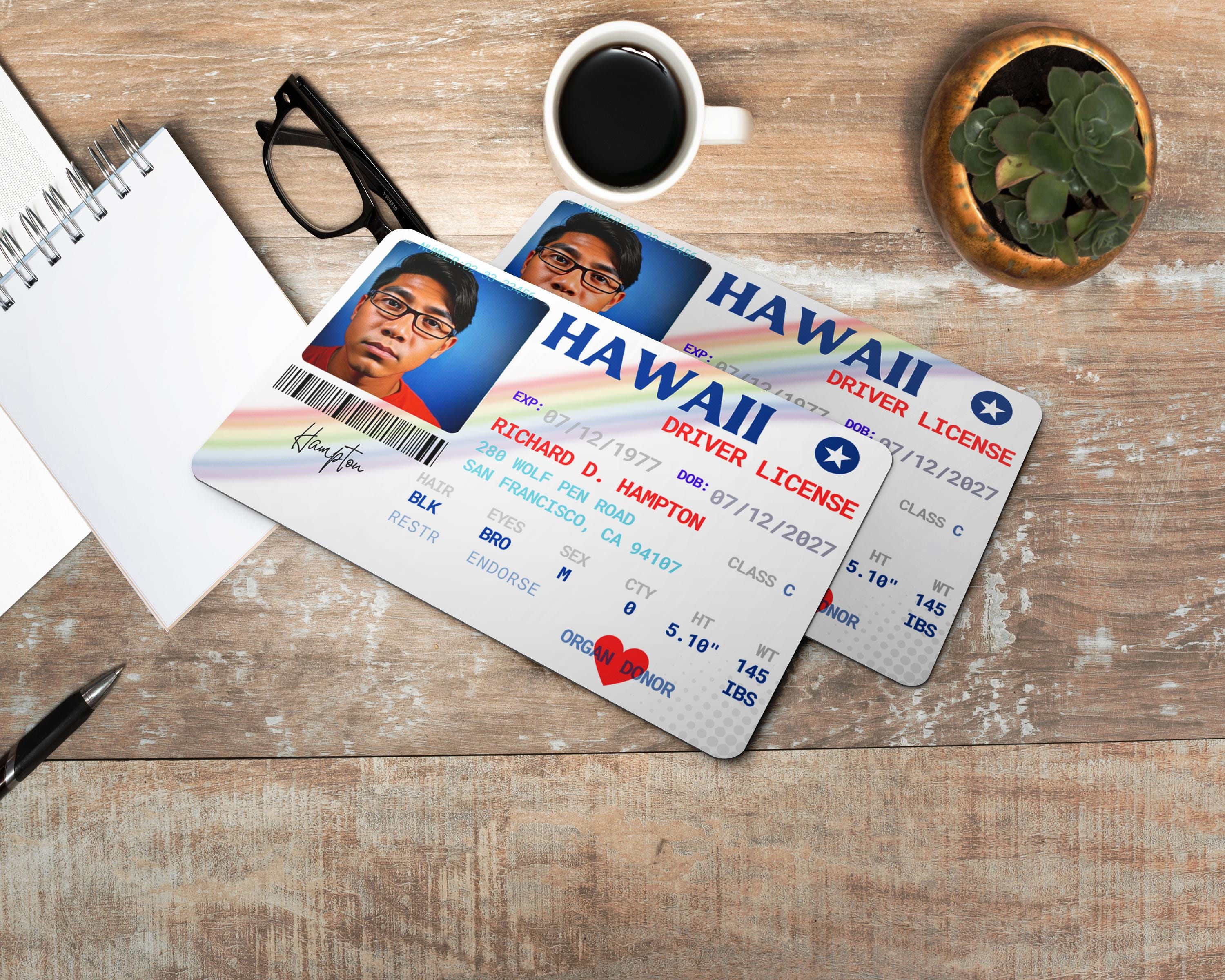 Editable Hawaii Driver License Replica: Novelty ID Card (digital ...