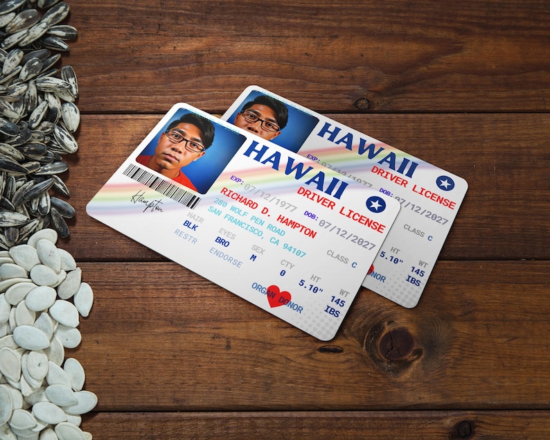 Editable Hawaii Driver License Replica: Novelty ID Card (digital ...