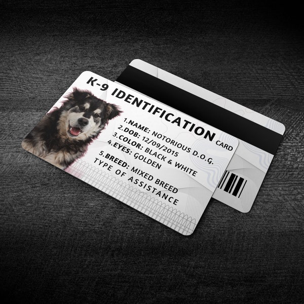 Dog Identification Card - Etsy