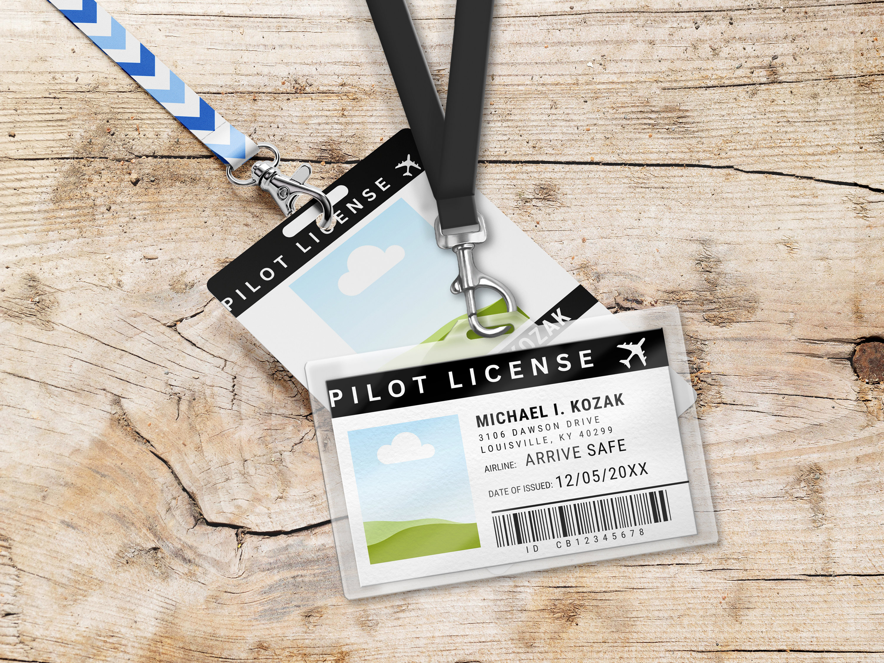 Pilot License Template: Pretend Play ID Card (PDF) - Etsy