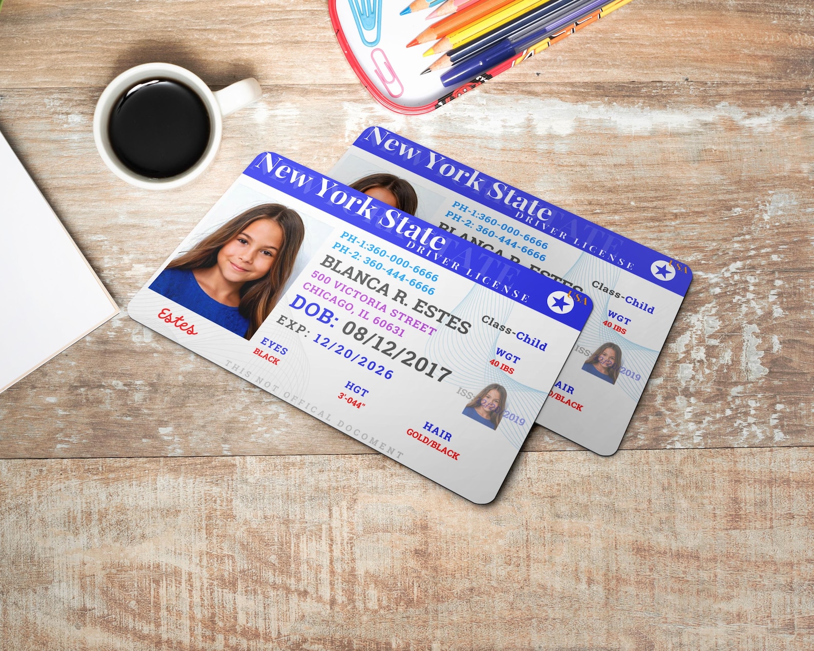 New York State Child Novelty Driver License Kids, Safety Identification ...