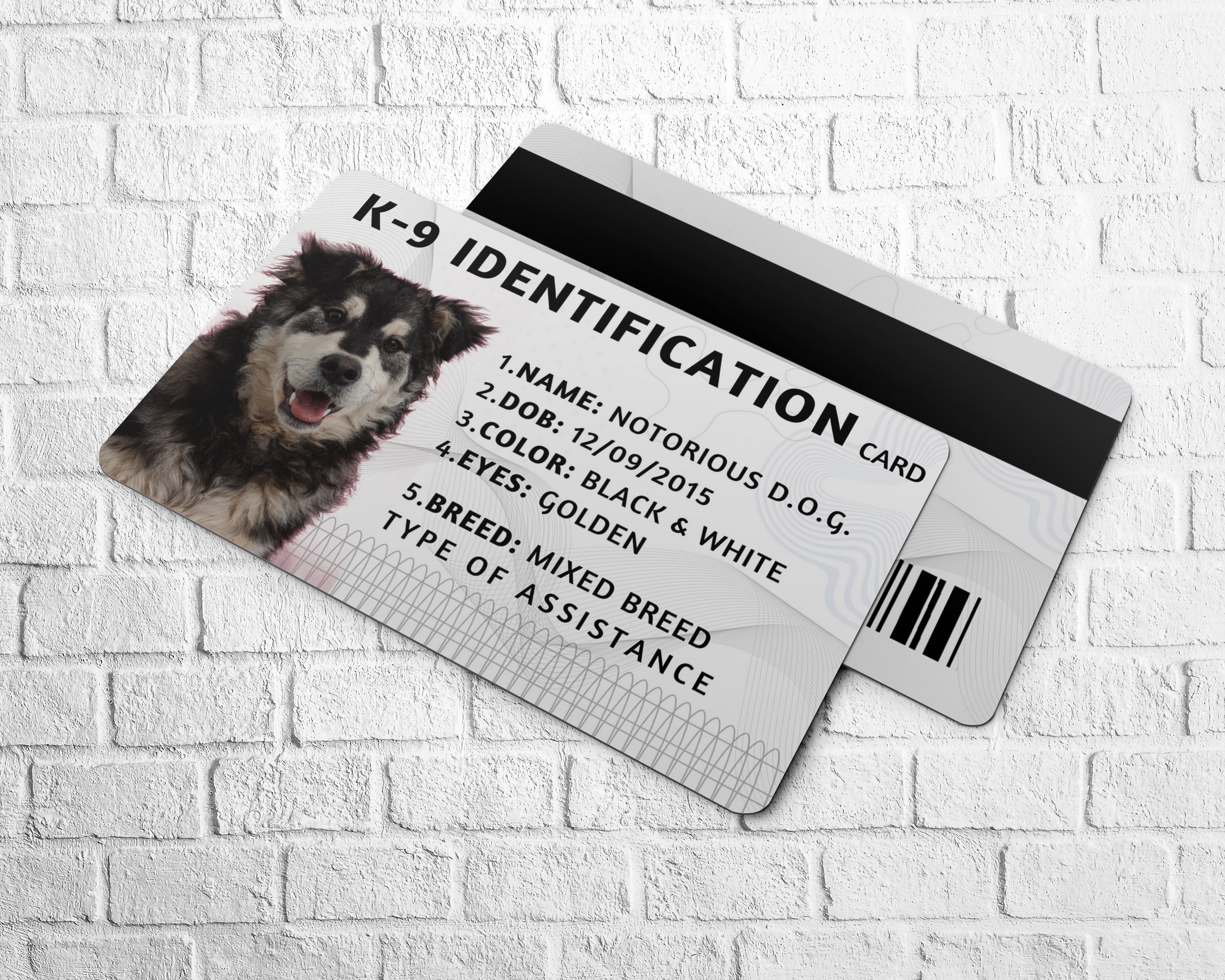 Editable Assistant Dog ID Card Template (digital) - Etsy