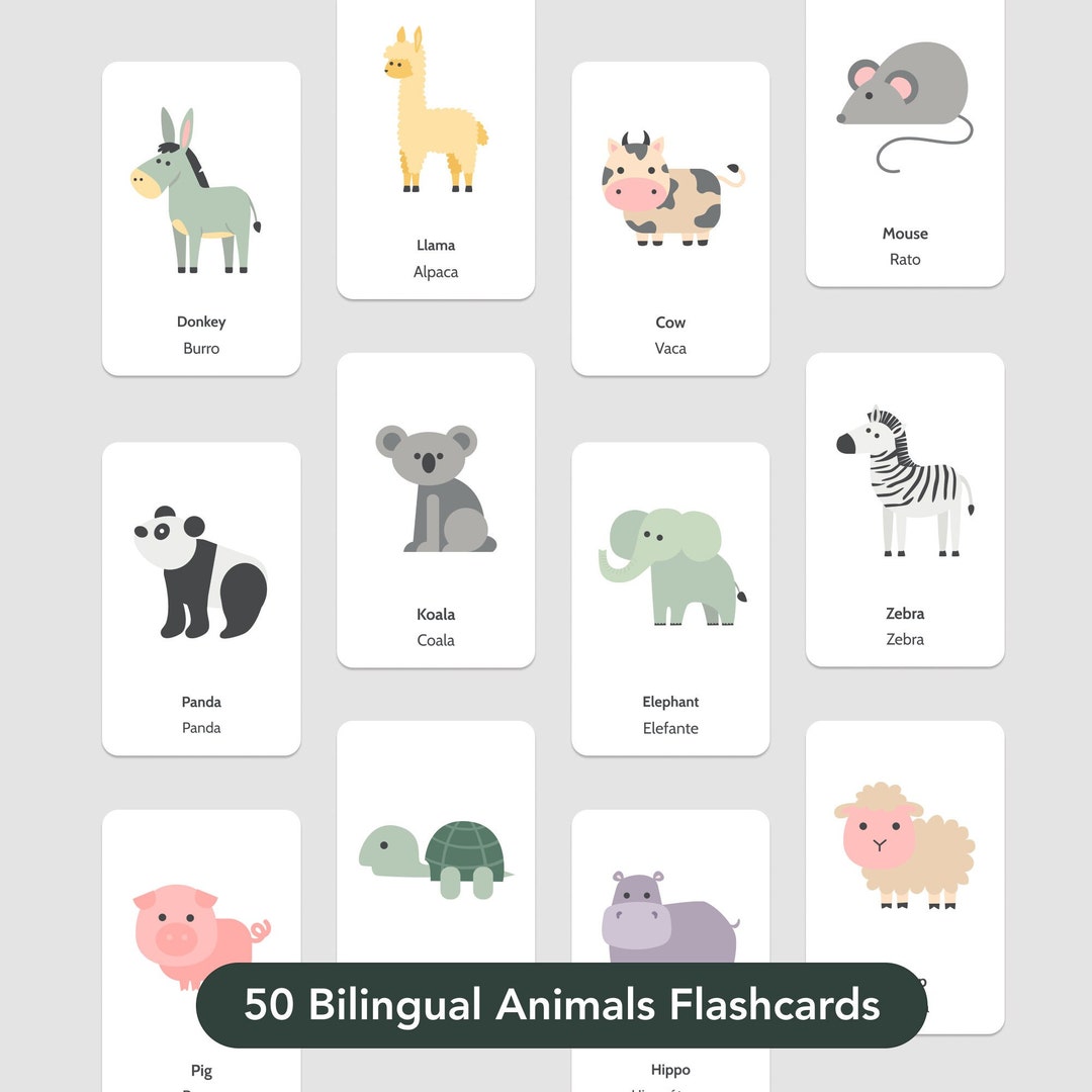 50 Bilingual Animals Vocabulary Flashcards, Pre-school Cards ...