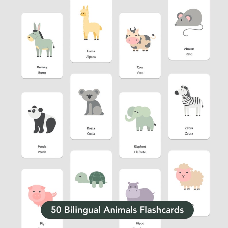 50 Bilingual Animals Vocabulary Flashcards, Pre-school Cards ...