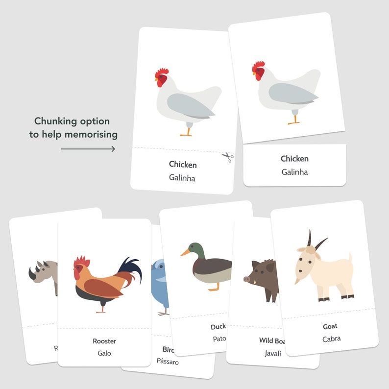 50 Bilingual Animals Vocabulary Flashcards, Pre-school Cards ...