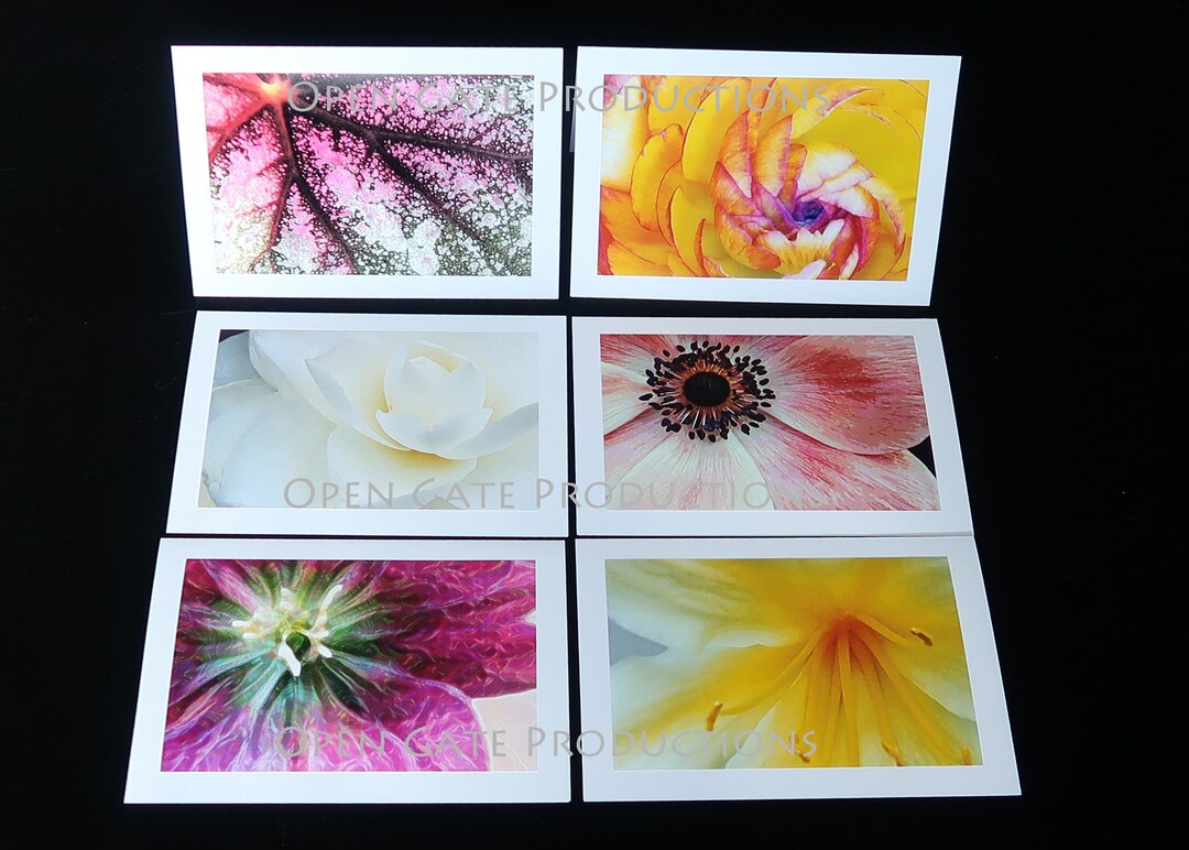 11A Botanical Cards, Birthday Cards, Everyday Cards, Blank Cards, Gifts ...