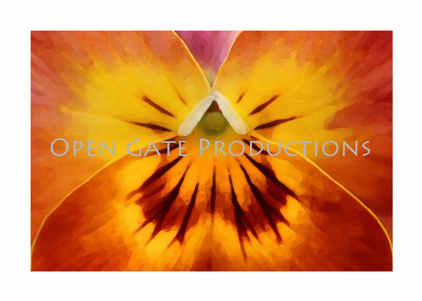 4A Botanical Cards, Birthday Cards, Everyday Cards, Blank Cards, Gifts ...