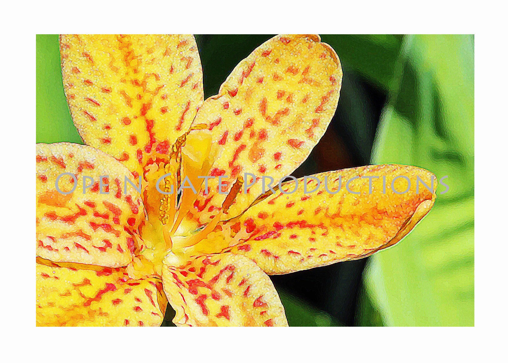 12A Botanical Cards, Birthday Cards, Everyday Cards, Blank Cards, Gifts ...