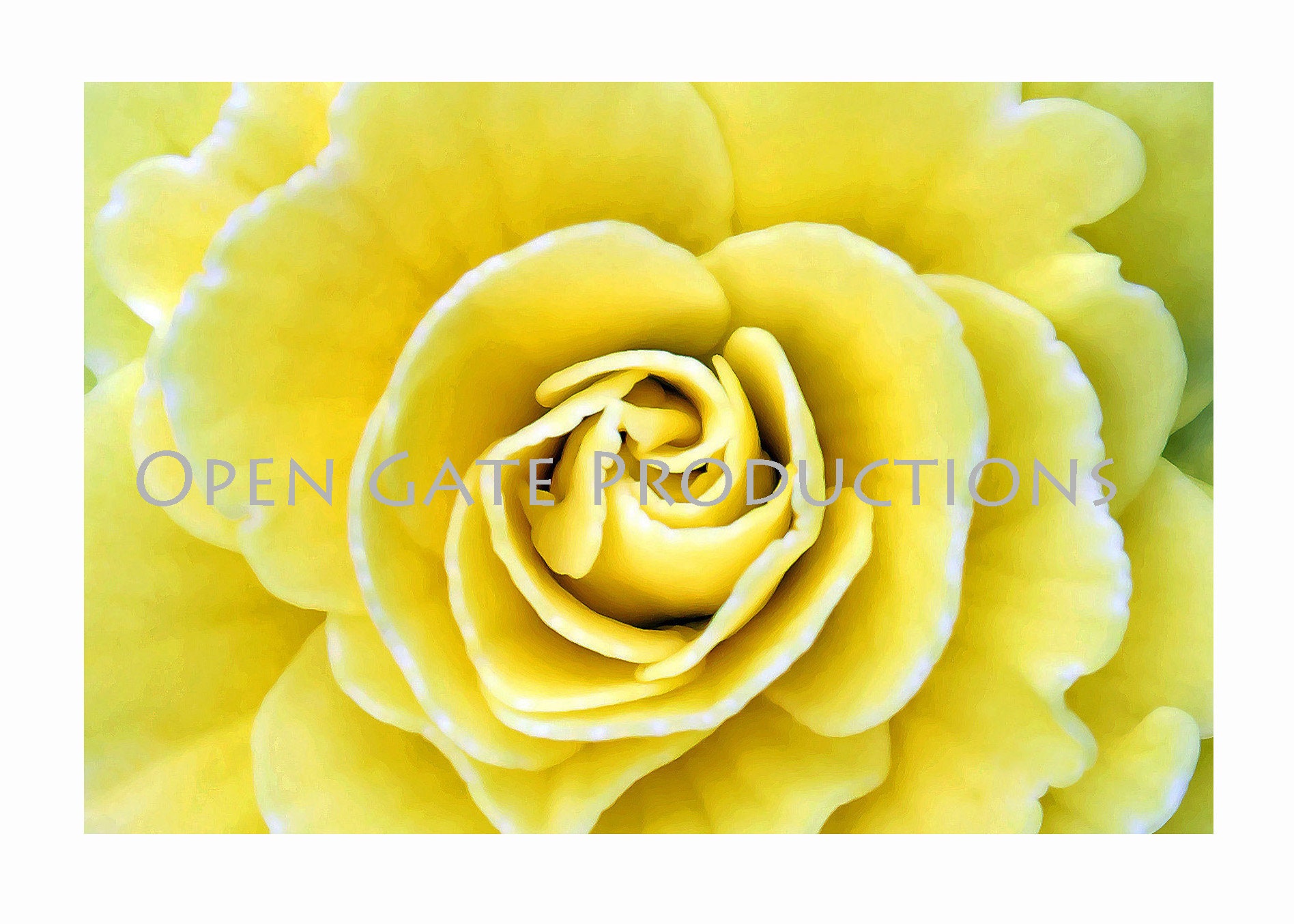 8A Botanical Cards, Birthday Cards, Everyday Cards, Blank Cards, Gifts ...