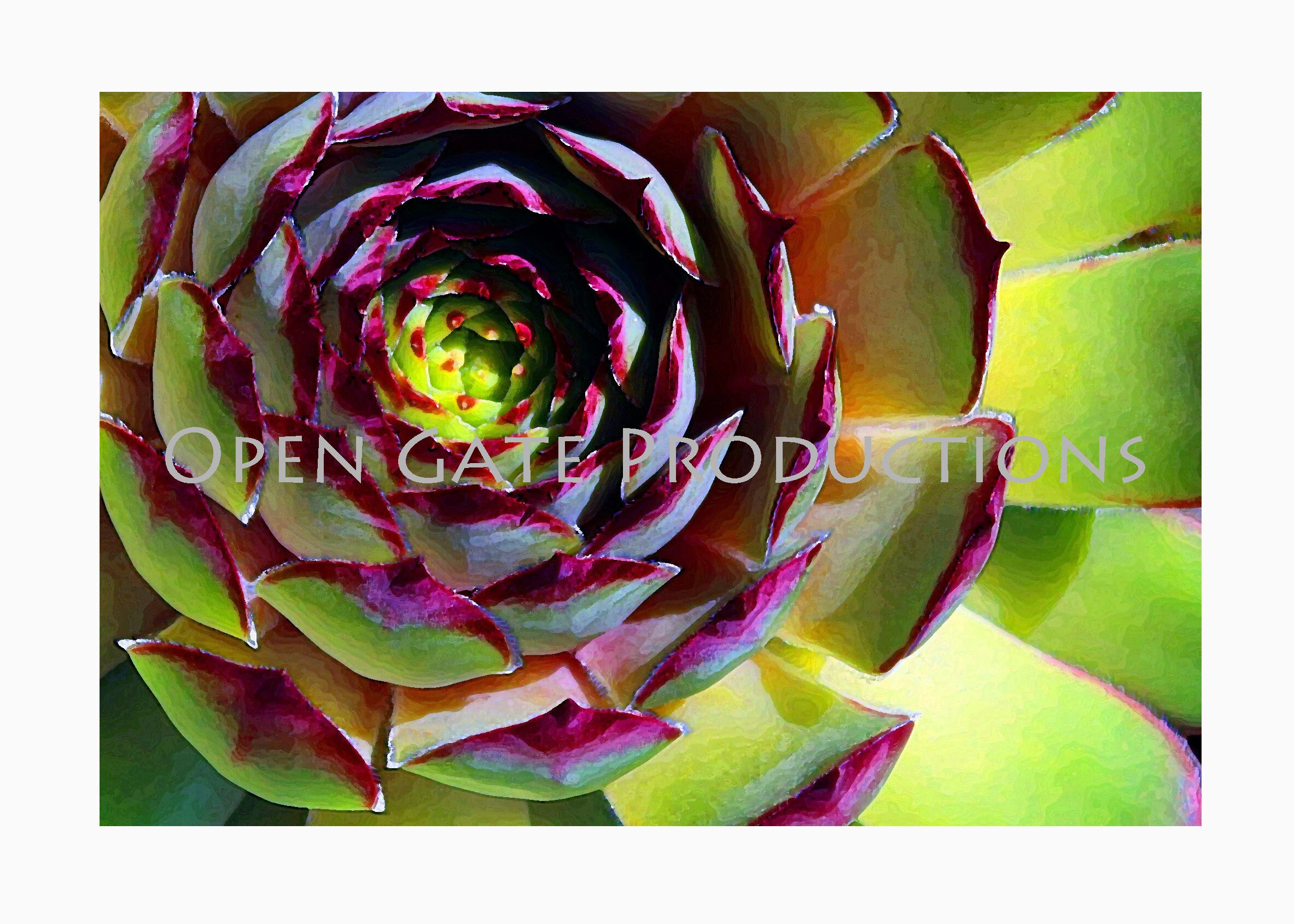 2A Botanical Cards, Birthday Cards, Everyday Cards, Blank Cards, Gifts ...