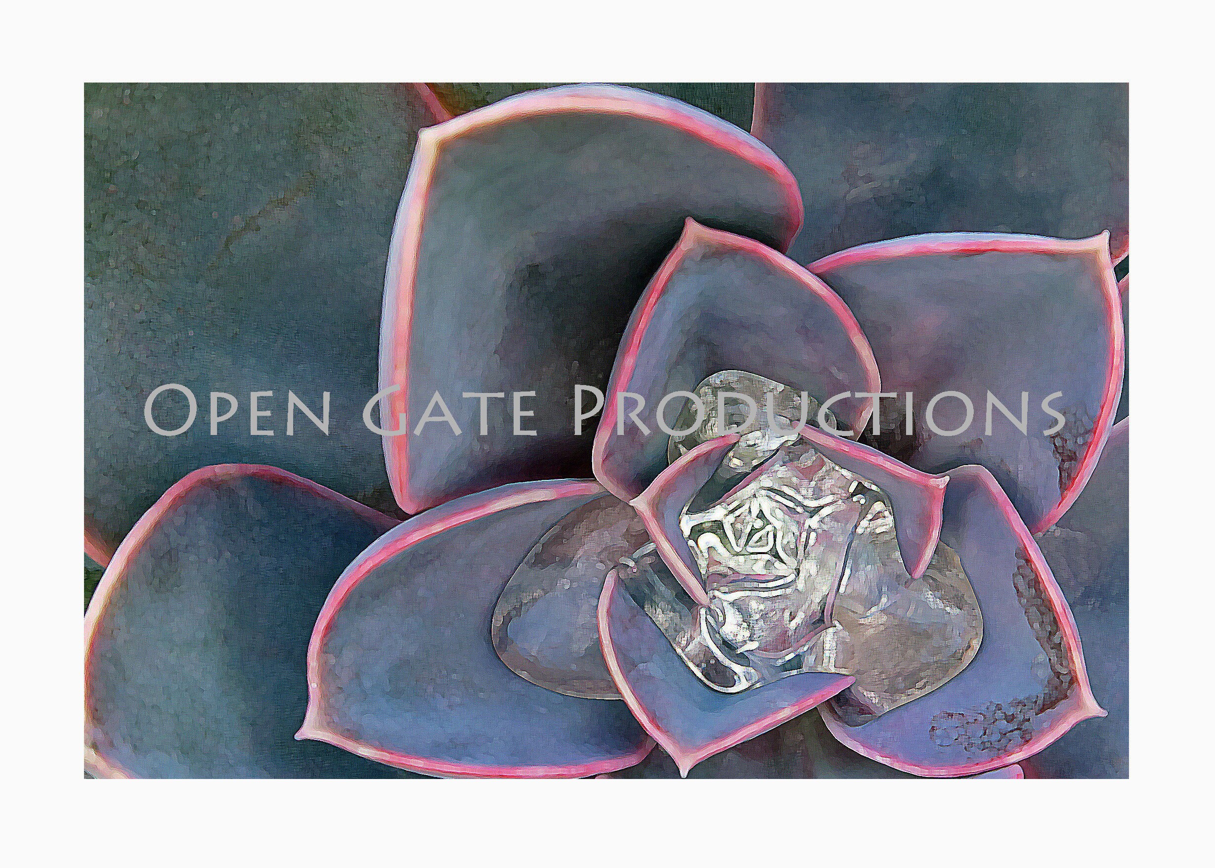 1A Botanical Cards, Birthday Cards, Everyday Cards, Blank Cards, Gifts ...