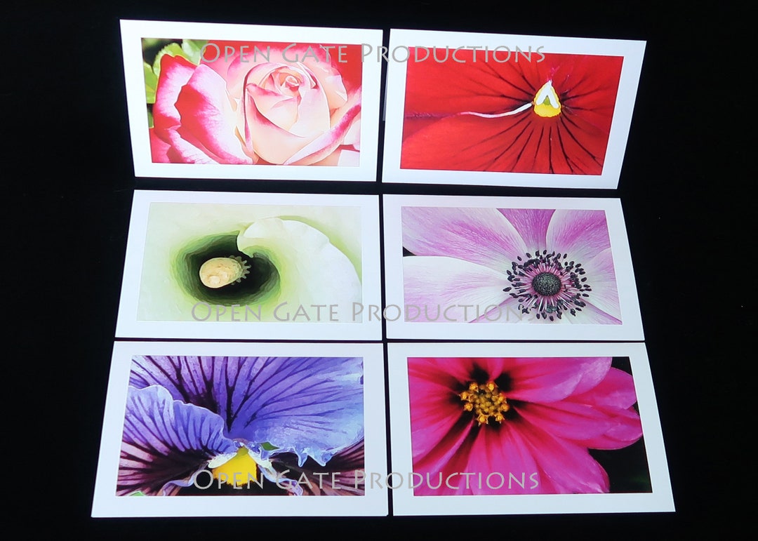 7A Botanical Cards, Birthday Cards, Everyday Cards, Blank Cards, Gifts ...
