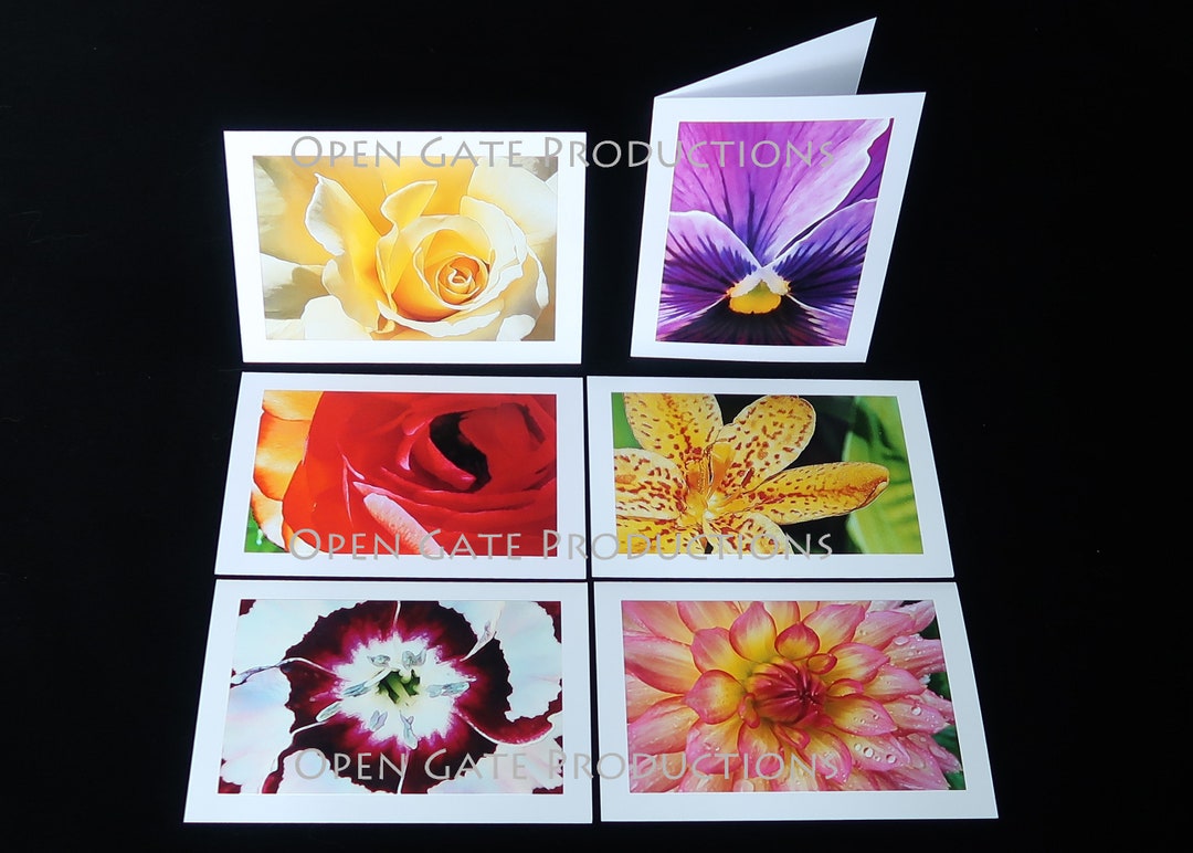12A Botanical Cards, Birthday Cards, Everyday Cards, Blank Cards, Gifts ...