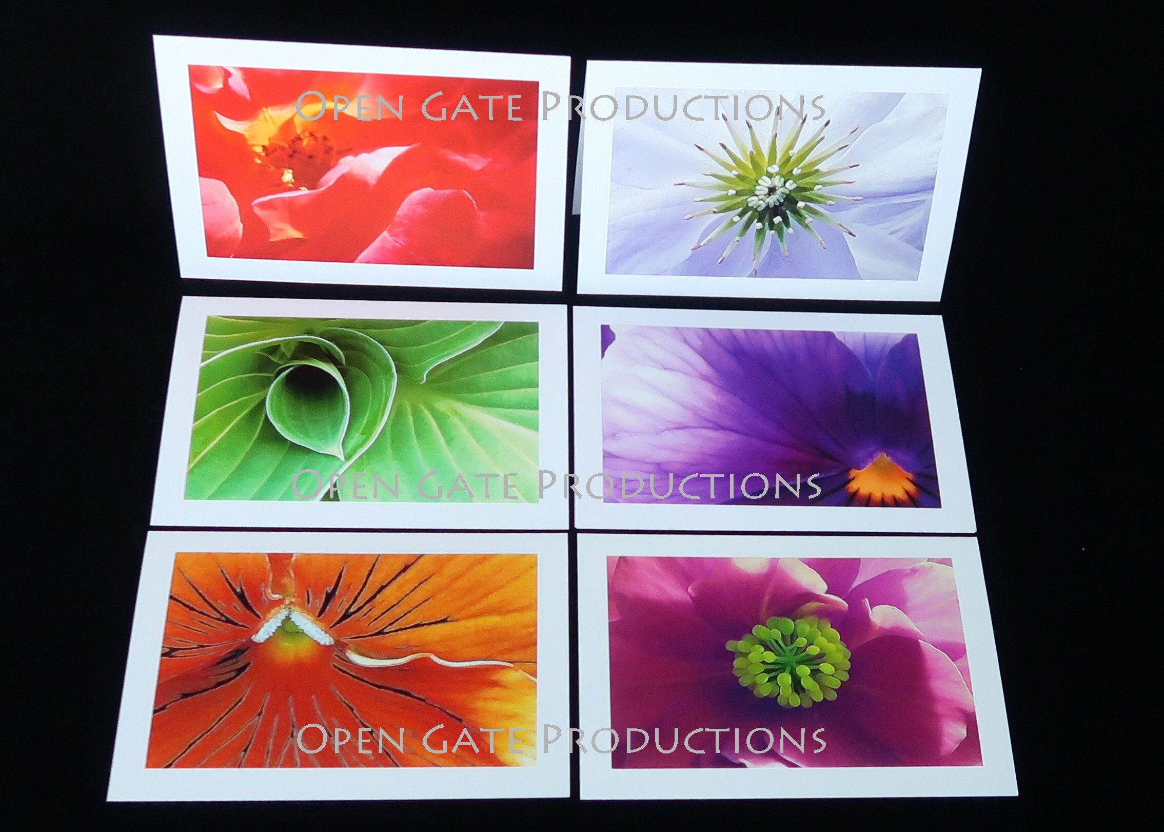 20A Botanical Cards, Birthday Cards, Everyday Cards, Blank Cards, Gifts ...