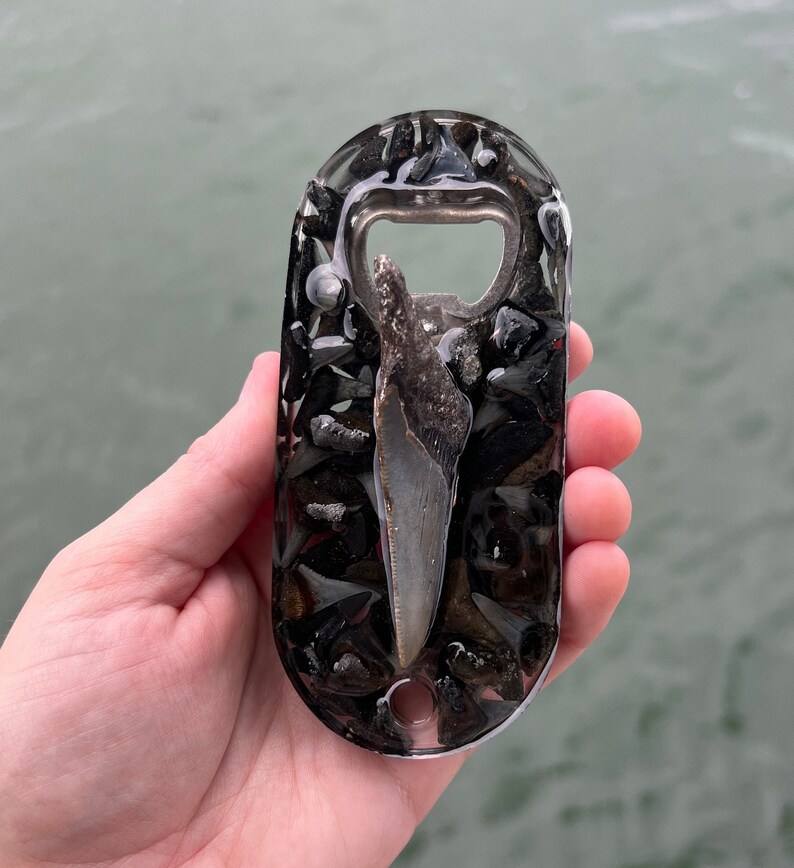 Megalodon Shark Tooth Bottle Opener - Etsy