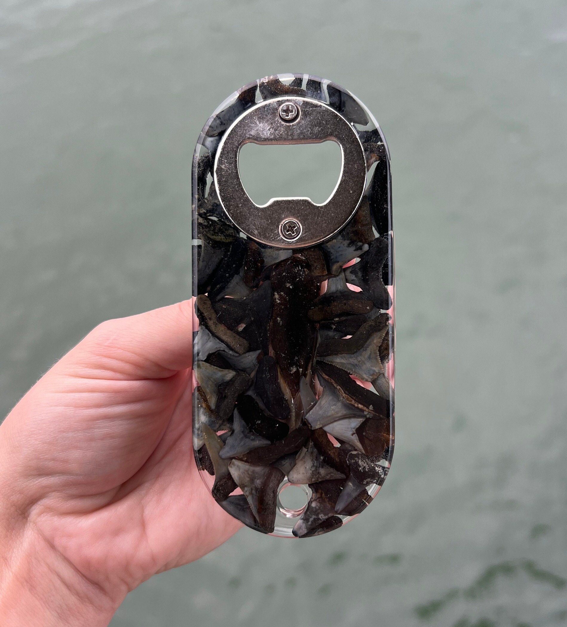 Megalodon Shark Tooth Bottle Opener - Etsy