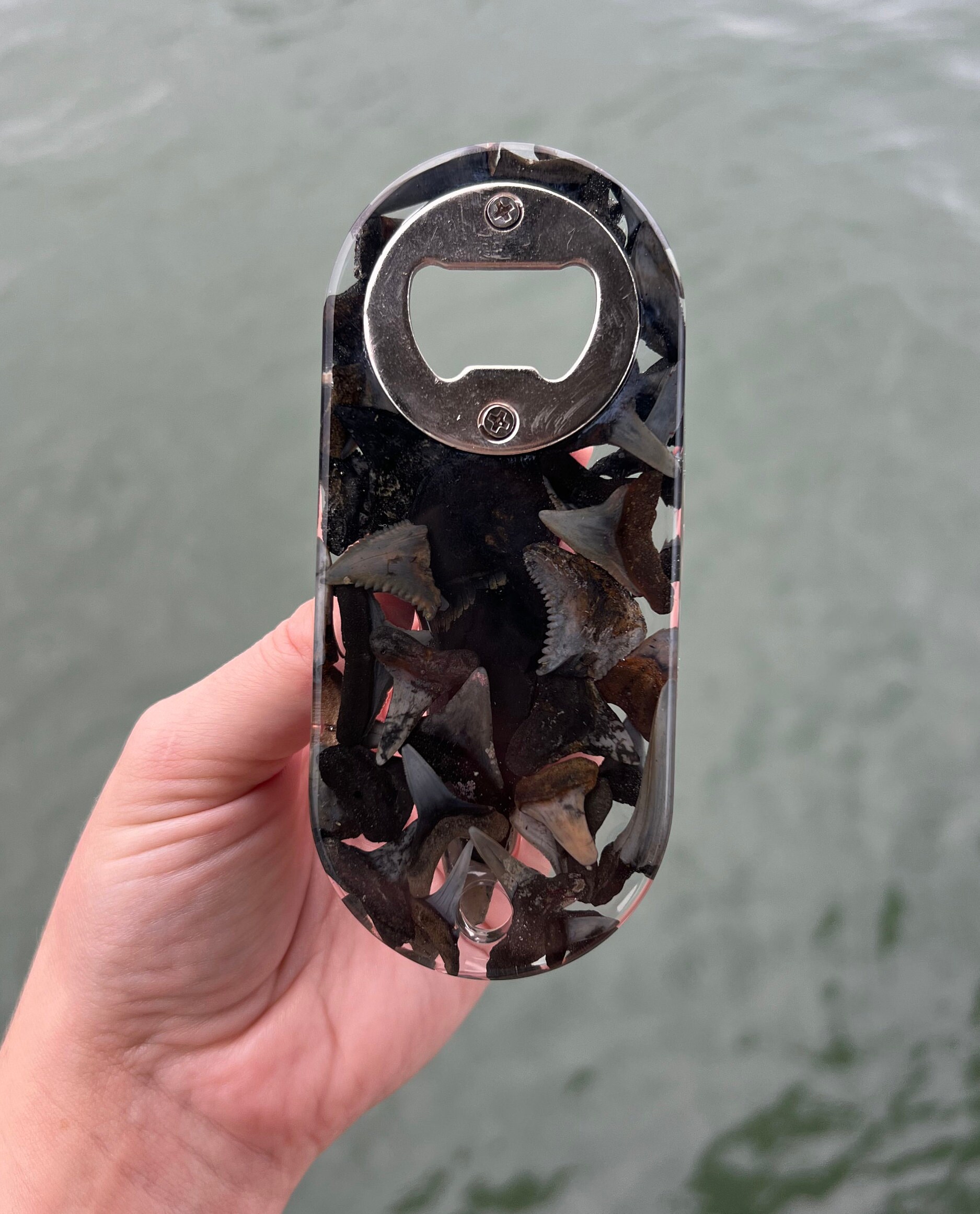 Megalodon Shark Tooth Bottle Opener - Etsy