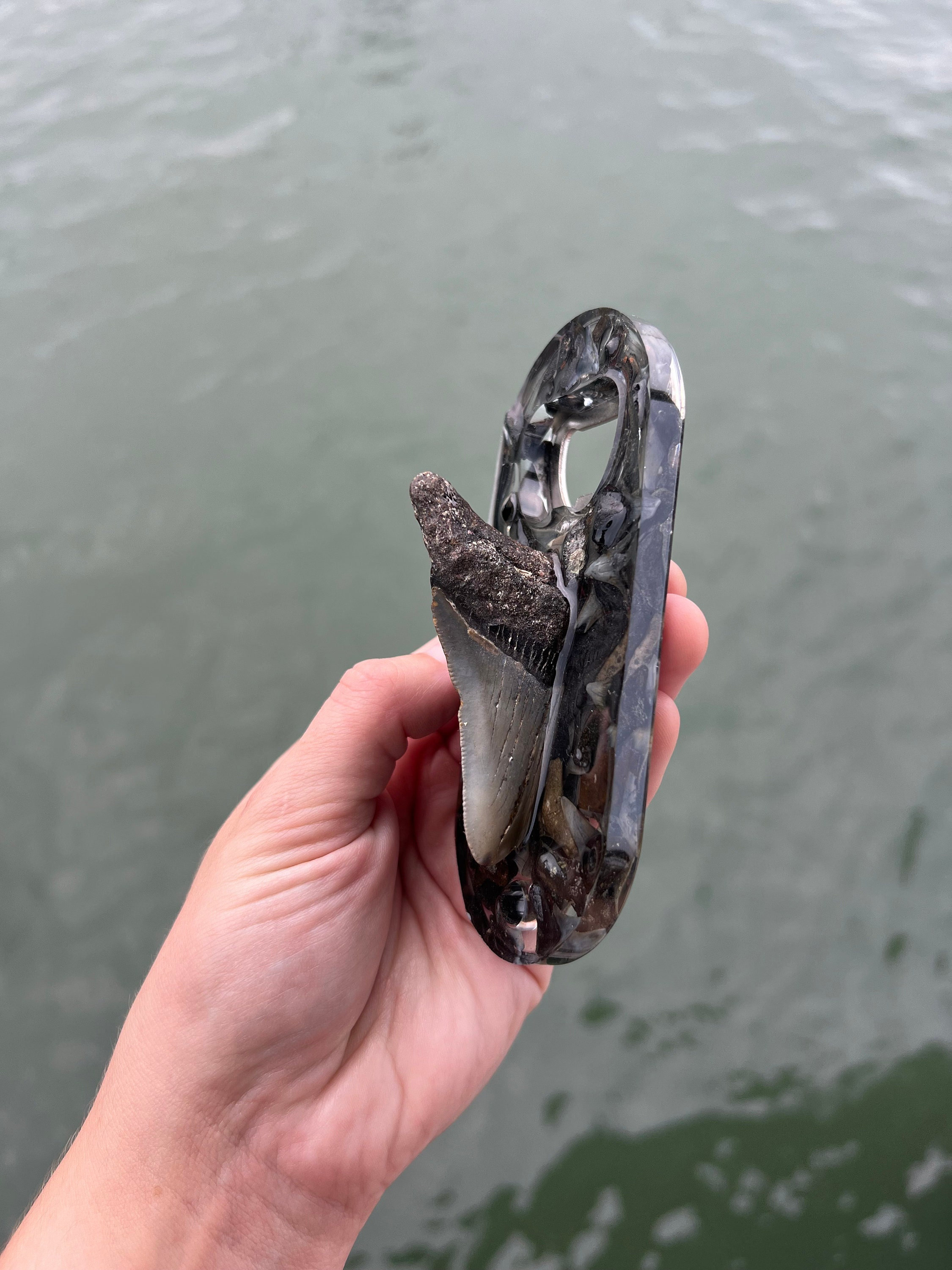 Megalodon Shark Tooth Bottle Opener - Etsy