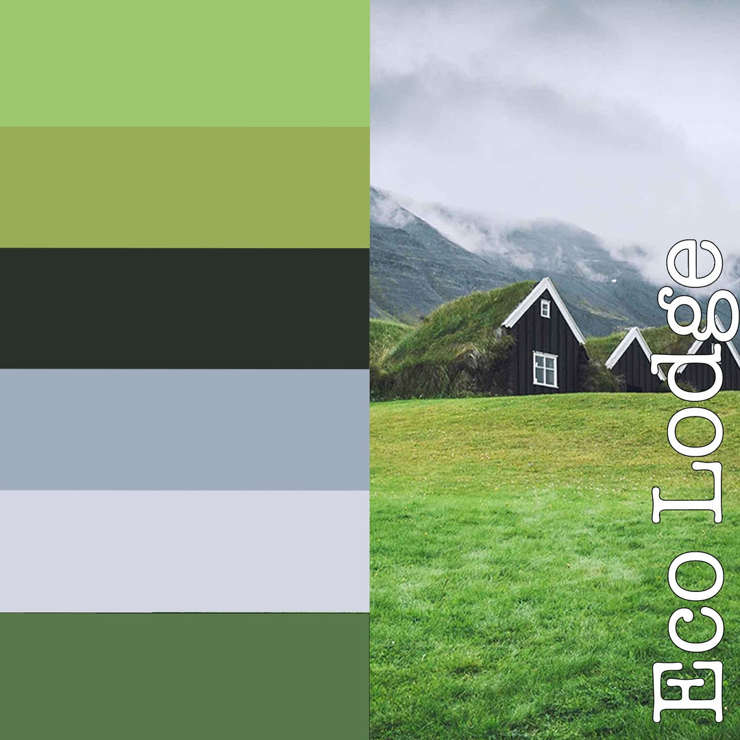 Eco Lodge Digital Color Palette Swatch for Procreate Adobe - Etsy