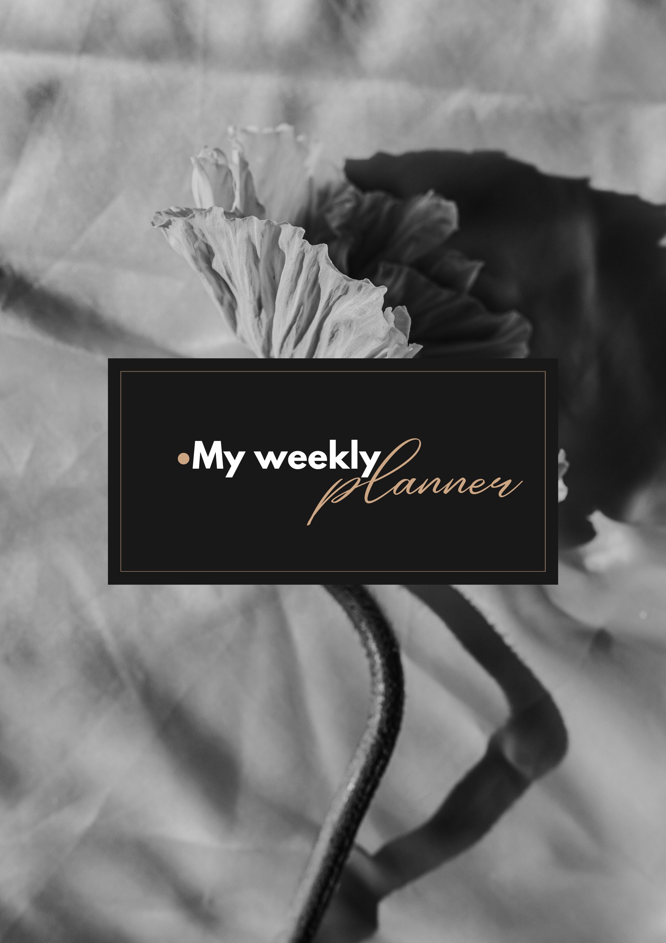 Weekly Planner Student Printable Journal Study School - Etsy