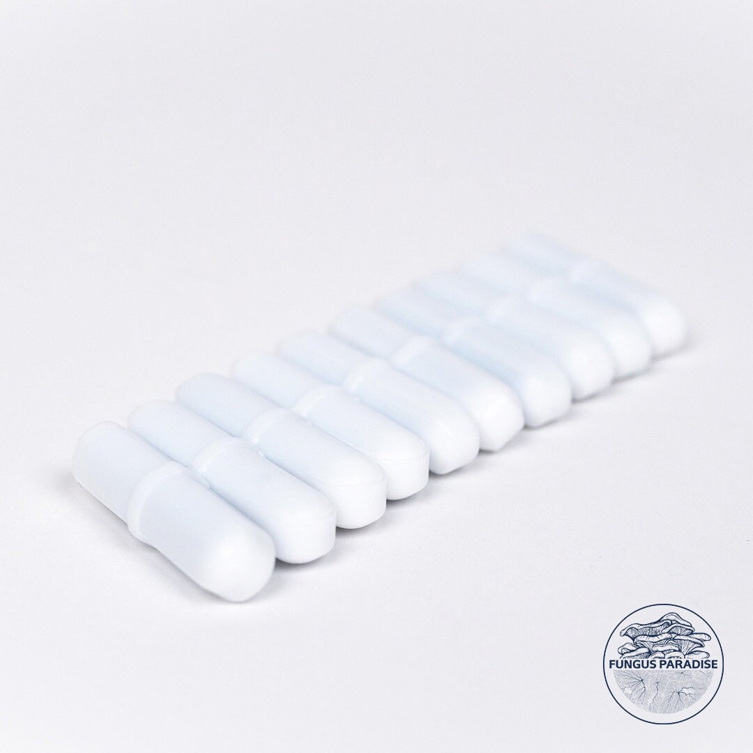 10 Mixing Magnets - Etsy