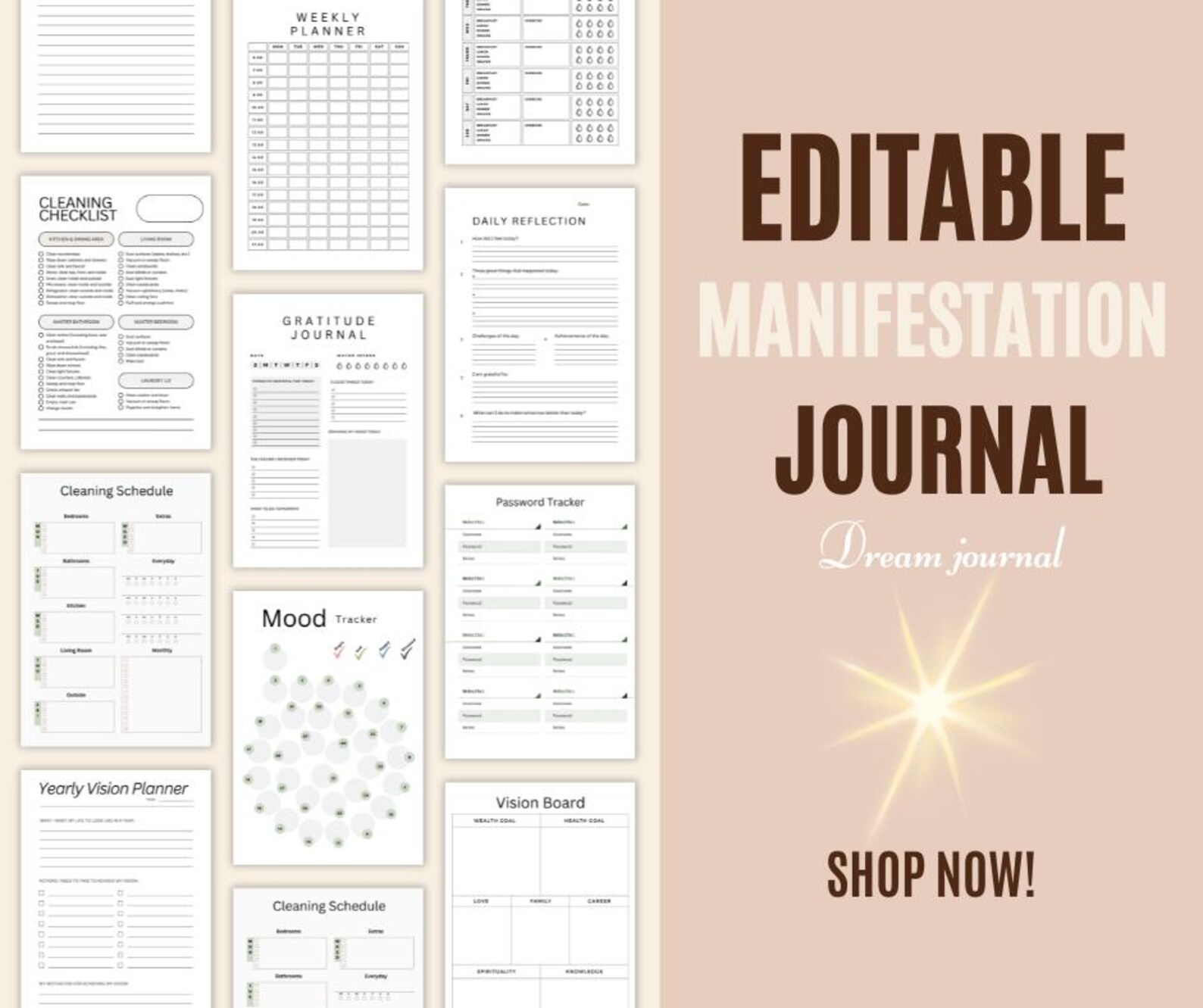 Vision Board A4, Editable & Printable PDF Bundle, Sleep Tracker, Income ...