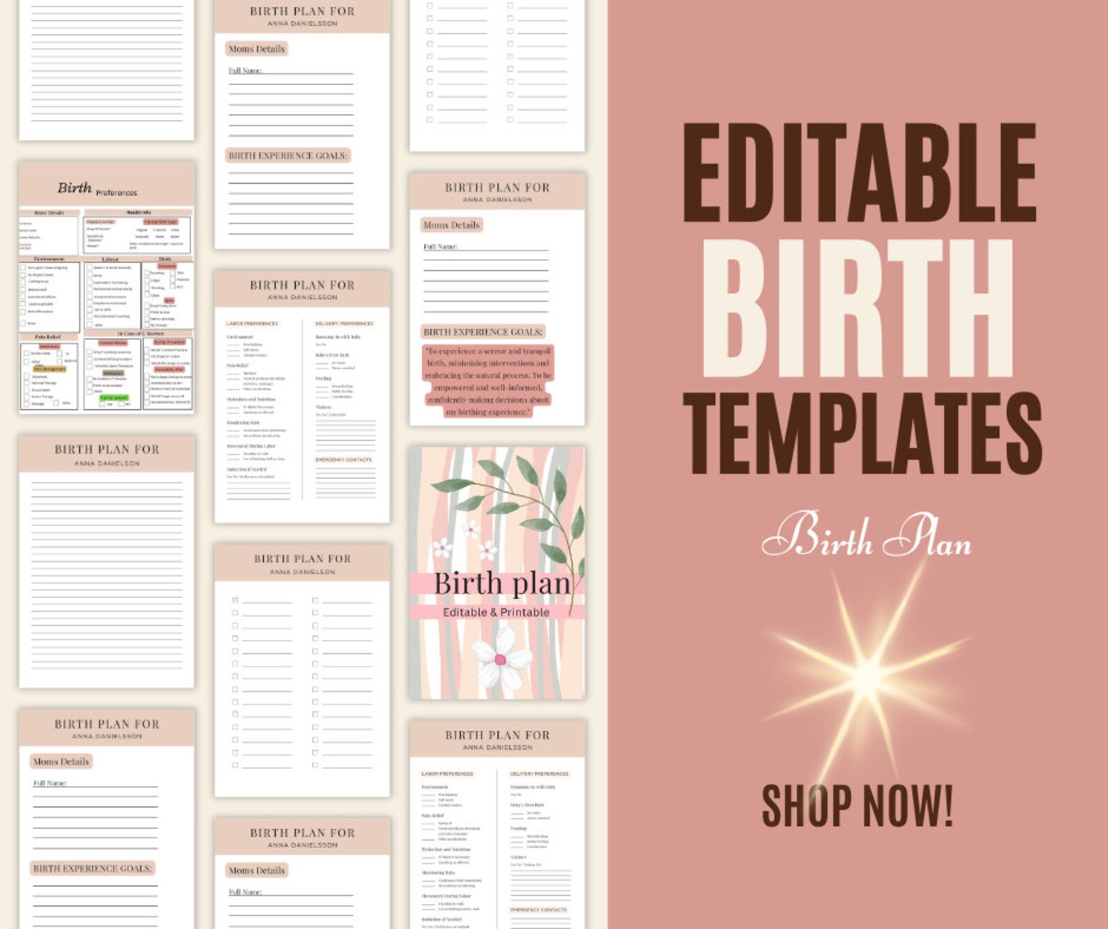 Birth Plan Template Bundle, Pregnancy Planner, Labor and Delivery ...
