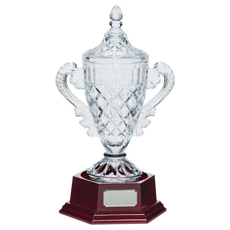 Trophy Cups - Etsy