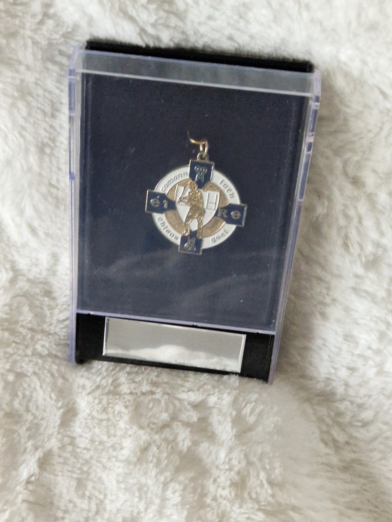 Irish Silver and Gold Hurling GAA Medal in Personalised Presentation ...