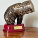 Personalised Boxing Glove Trophy Mounted on Polished Cherry Base. Great ...