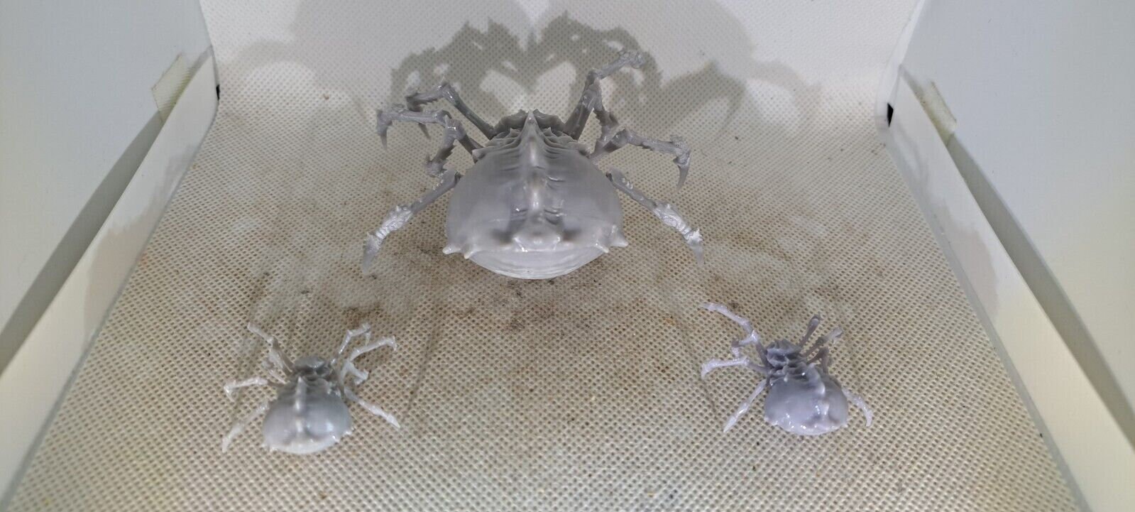28mm Sci-fi - Sump Spiders Set - Etsy
