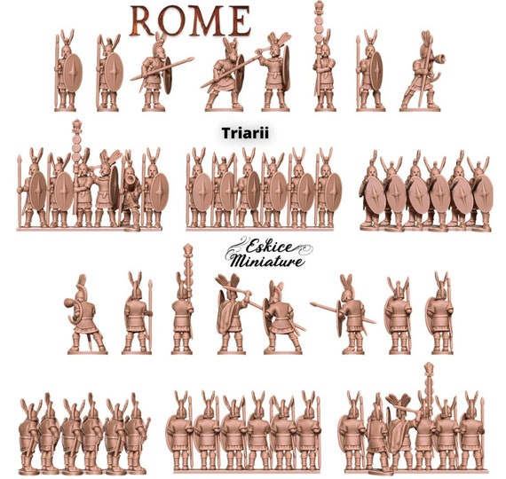 Triarii Roman Soldier