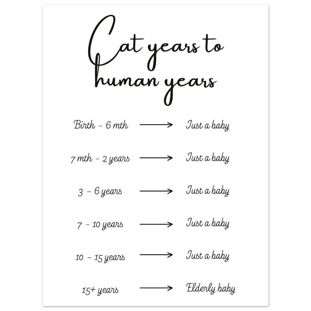 Cat Age to Human Age Chart Wall Art Decor Minimalist Poster Just a Baby ...