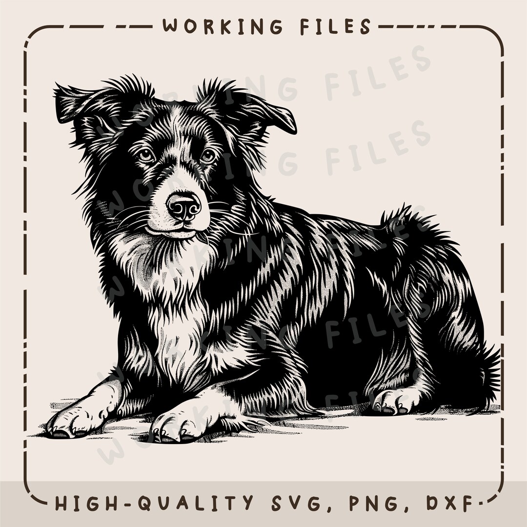 Border Collie SVG, Dog Vector Design, Laser Engraver, Clip Art PNG ...