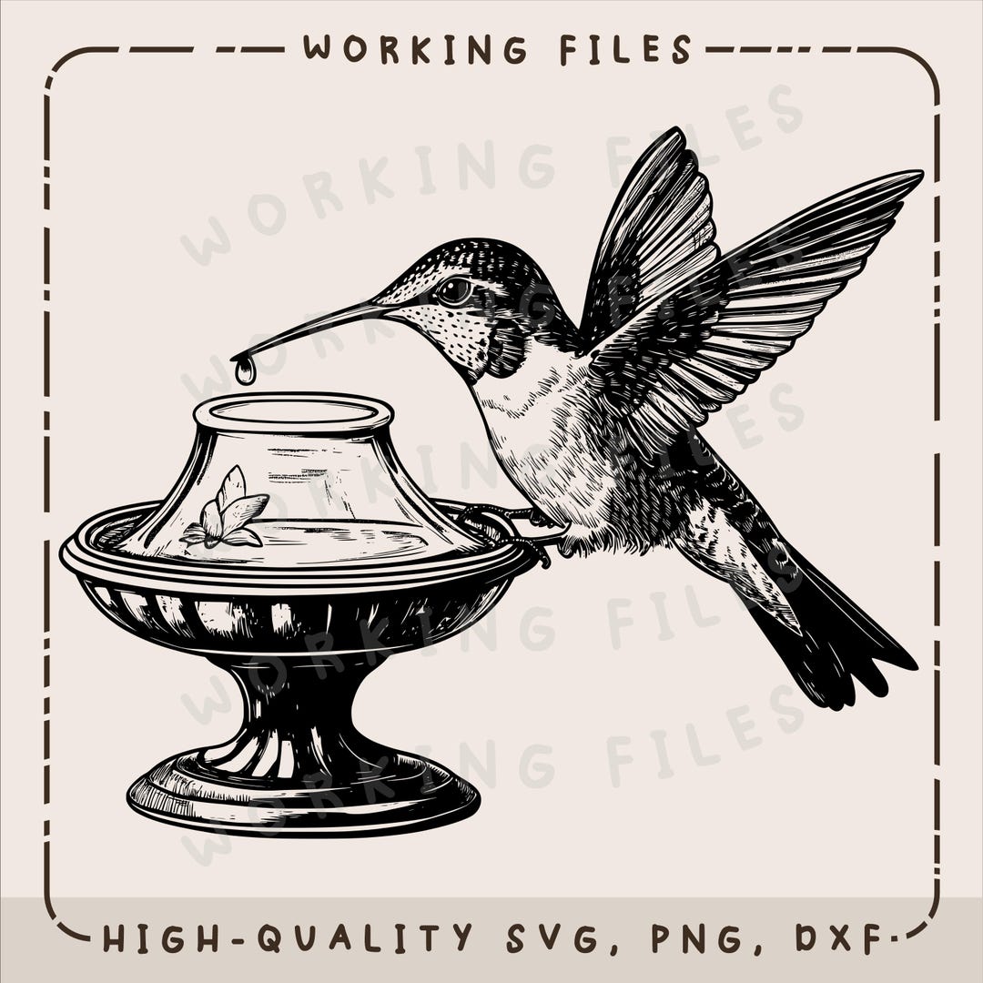 Hummingbird and Feeder SVG, Vector Design, Laser Engraver, Clip Art PNG ...