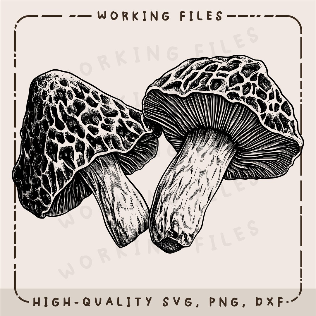 Morel Mushrooms SVG, Vector Design, Laser Engraver, Laser Ready, Clip ...