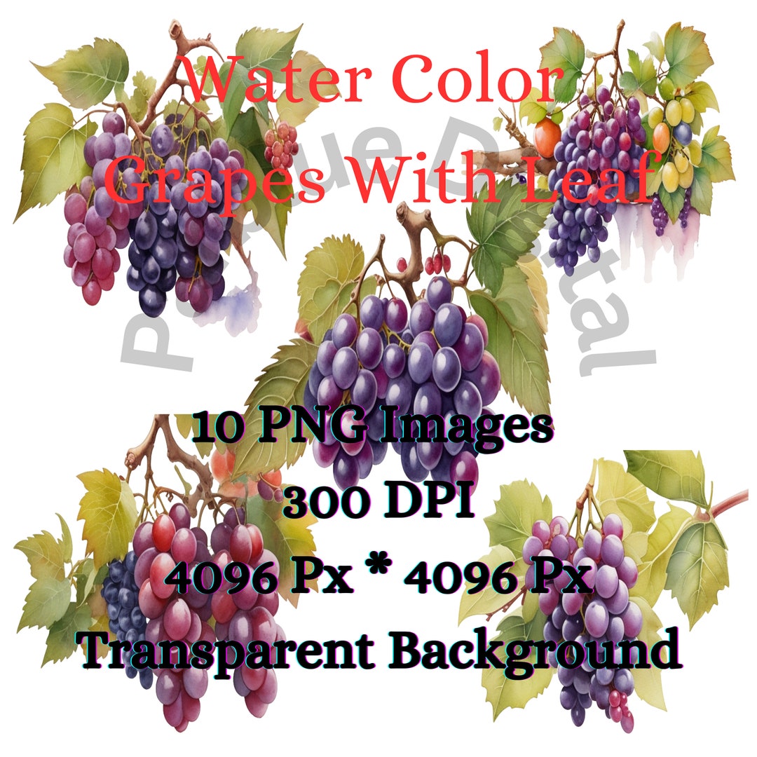 Grapes With Leaf Transparent Background Clip Art,grapes With Leaf Pngs ...
