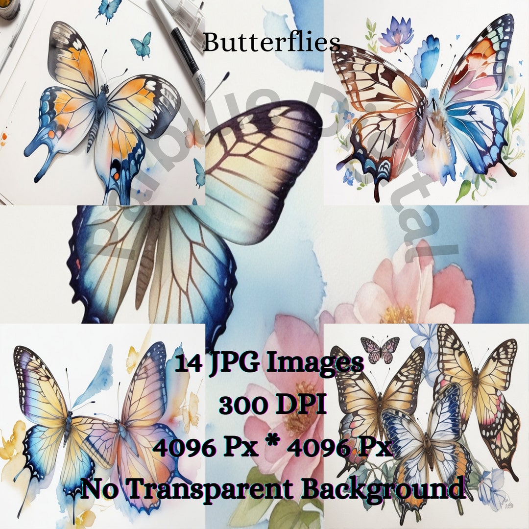 14 Butterflies With Flowers Clip Art,high Quality Jpgs,wall Art,decor ...