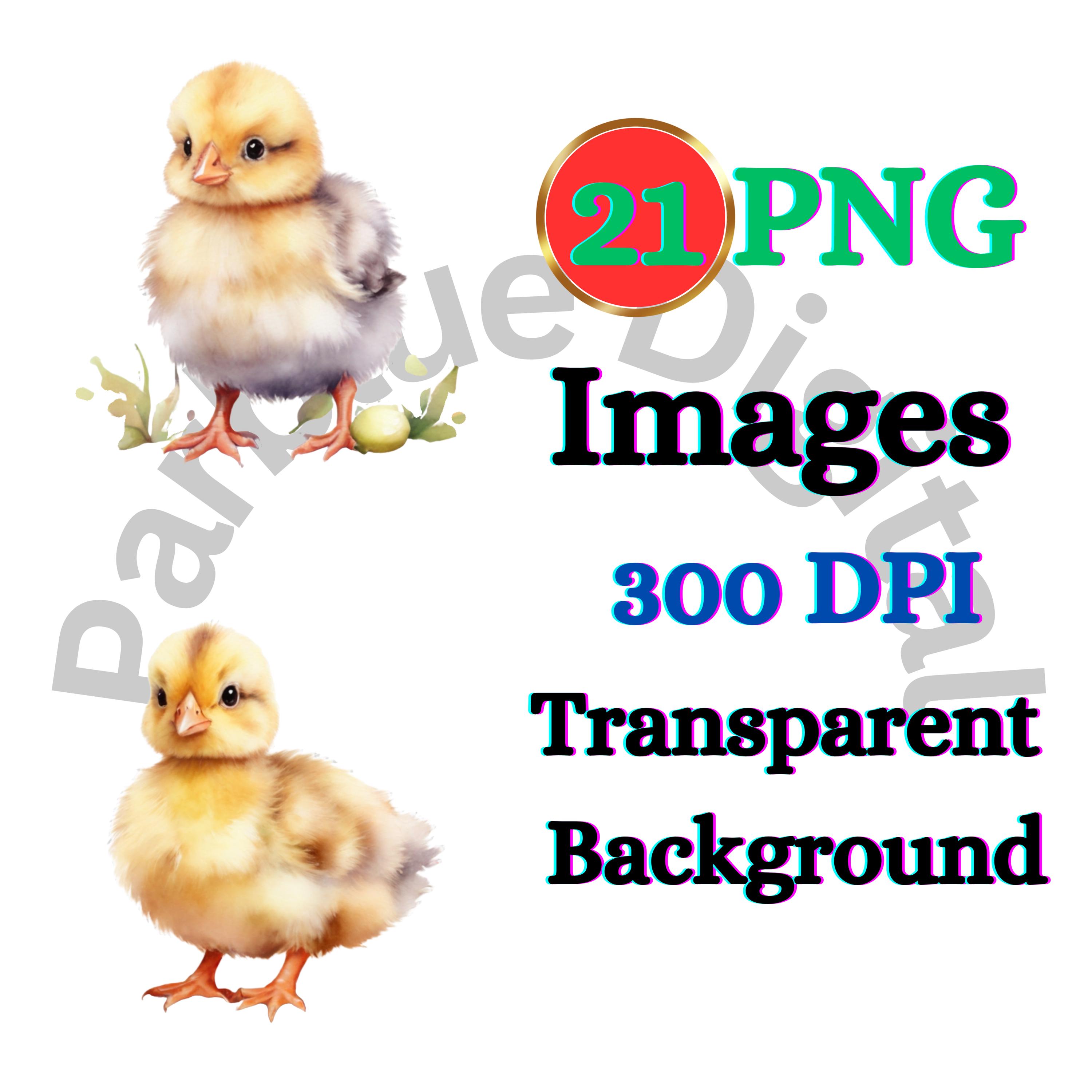 21 Cute Chick Clipart With Transparent Background Clip Art,high Quality ...
